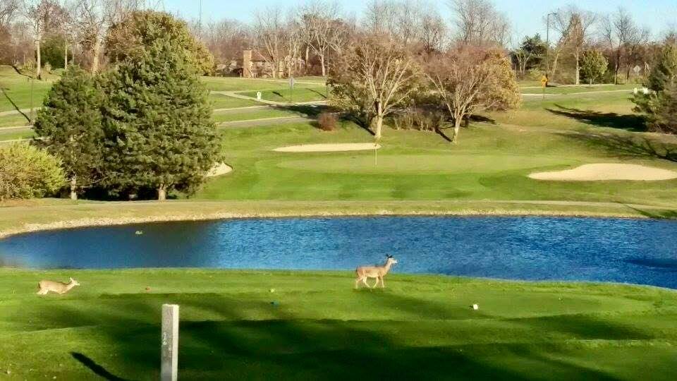 Photo Gallery - Beckett Ridge Country Club